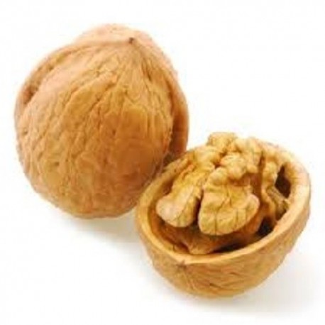 Lara Pieral - JARDINERIE GLOMOT